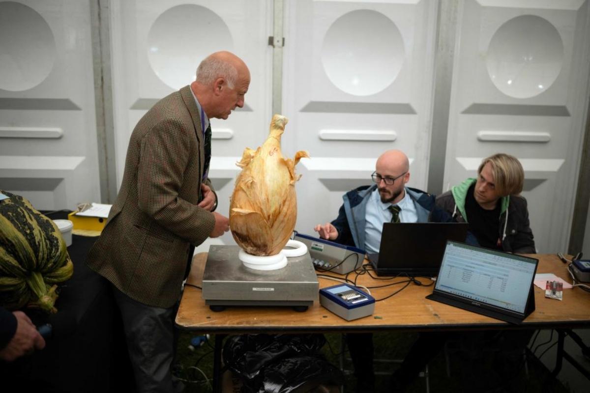 World's Largest Onion Record Broken in U.K. — Details Here