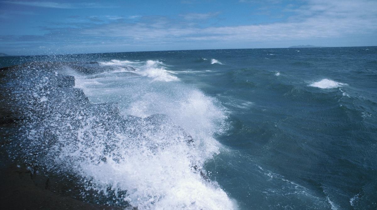 What Happens If the Gulf Stream Collapses?