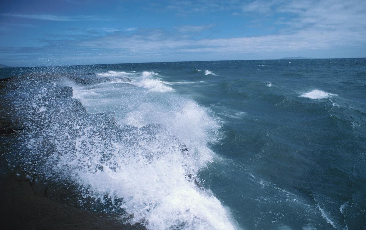 What Happens If the Gulf Stream Collapses?