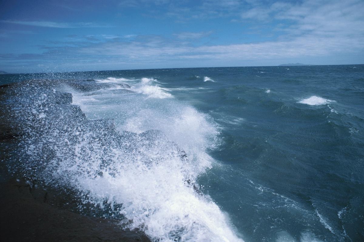 What Happens If the Gulf Stream Collapses?