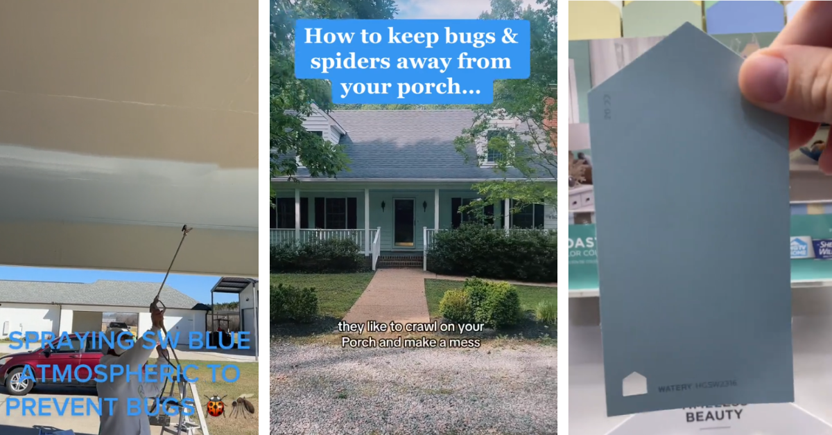 Experts Swear There's a House Paint Color That Bugs Stay Away From