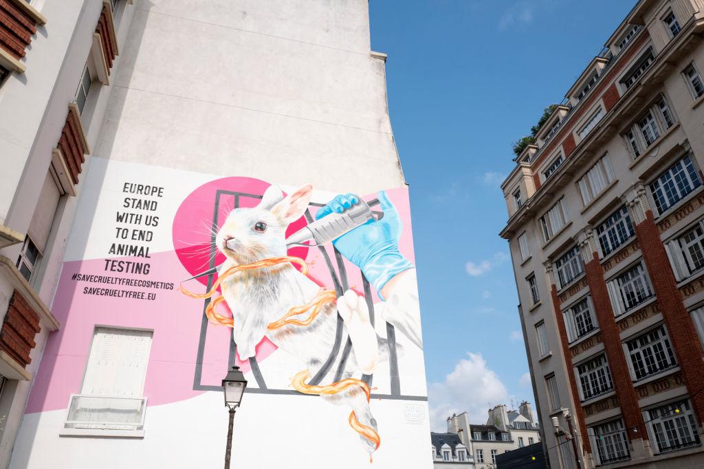 Should Animal Testing Be Illegal? Yes, and This Is Why