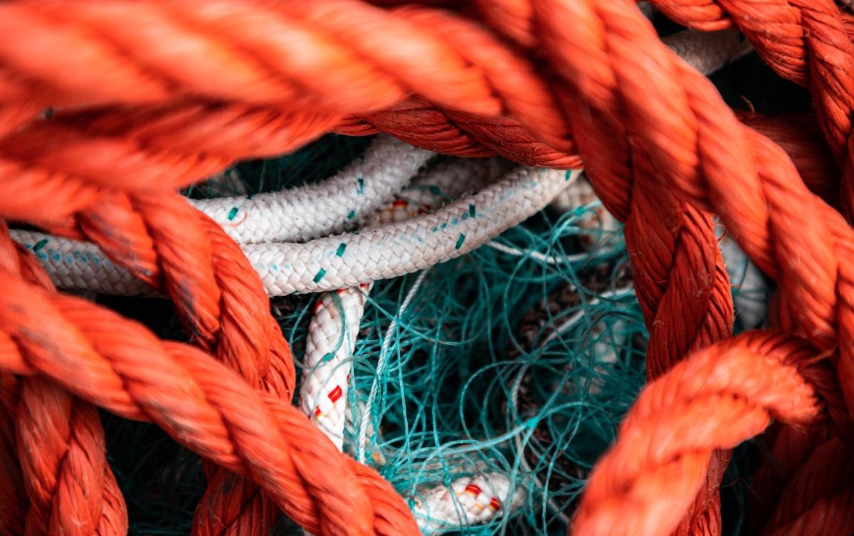 Australian Sailor and Dog Survive for Months in the Pacific