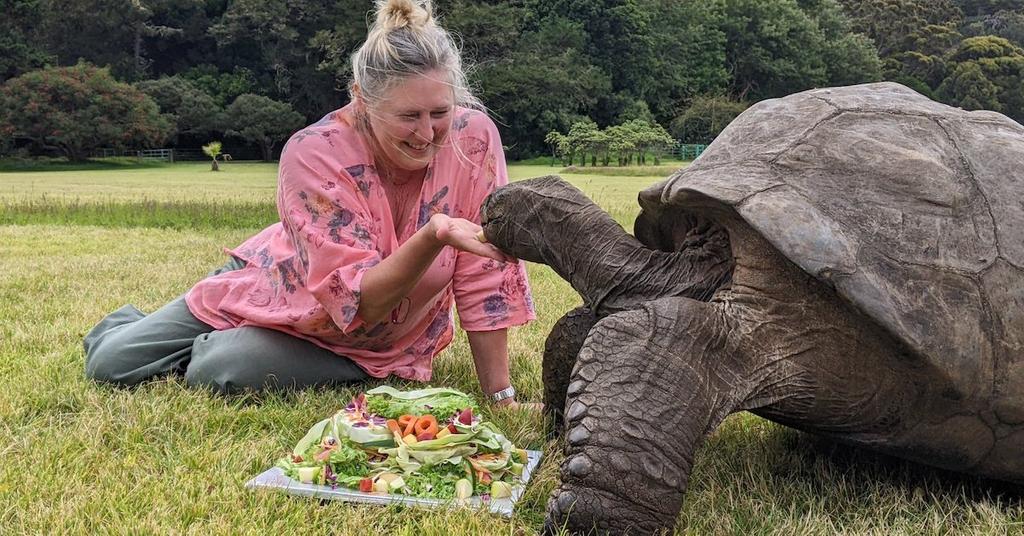 Jonathan the Tortoise's 190th Birthday Honors the Oldest-Living Land Animal