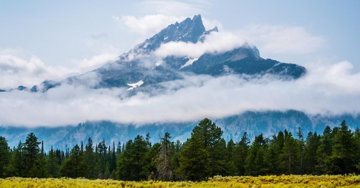 Fact Check: Did Emily Parker Go Missing in Yellowstone?