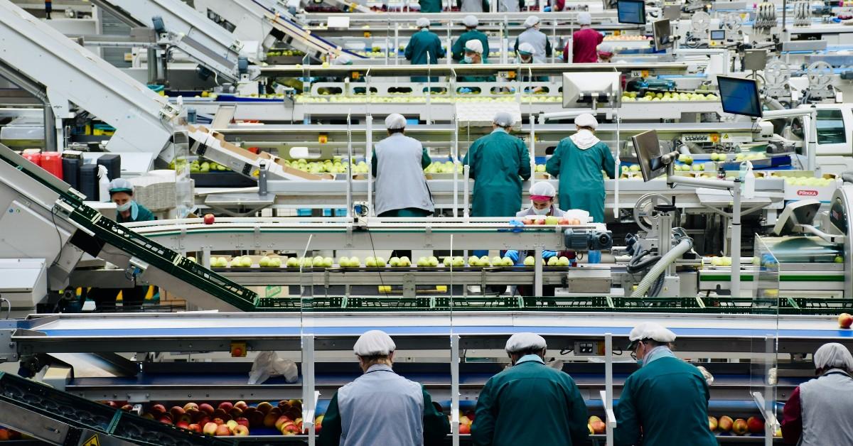 Want to Know if Your Job Will Exist in Five Years? Ask Yourself This