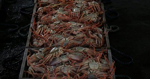 Snow Crab Missing From Alaskan Waters — Thanks to Climate Change