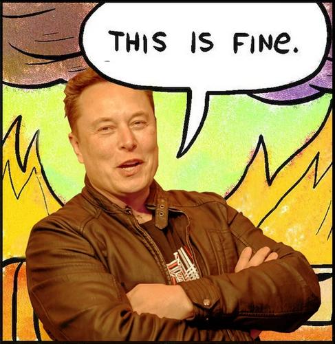 Elon Musk Memes: Poking Fun at the CEO, Tesla, and X