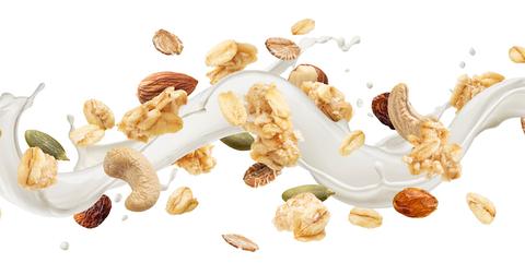 Macadamia Milk Nutrition: What You Need to Know About This Non-Dairy Milk