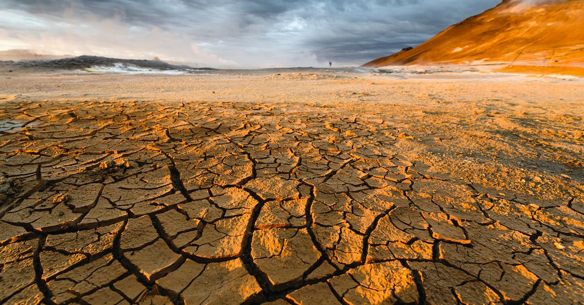 Global Warming Solutions That Could Help Us Through the Climate Crisis