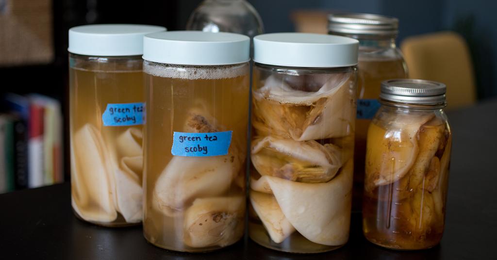 What Is SCOBY? How to Brew Your Own Kombucha