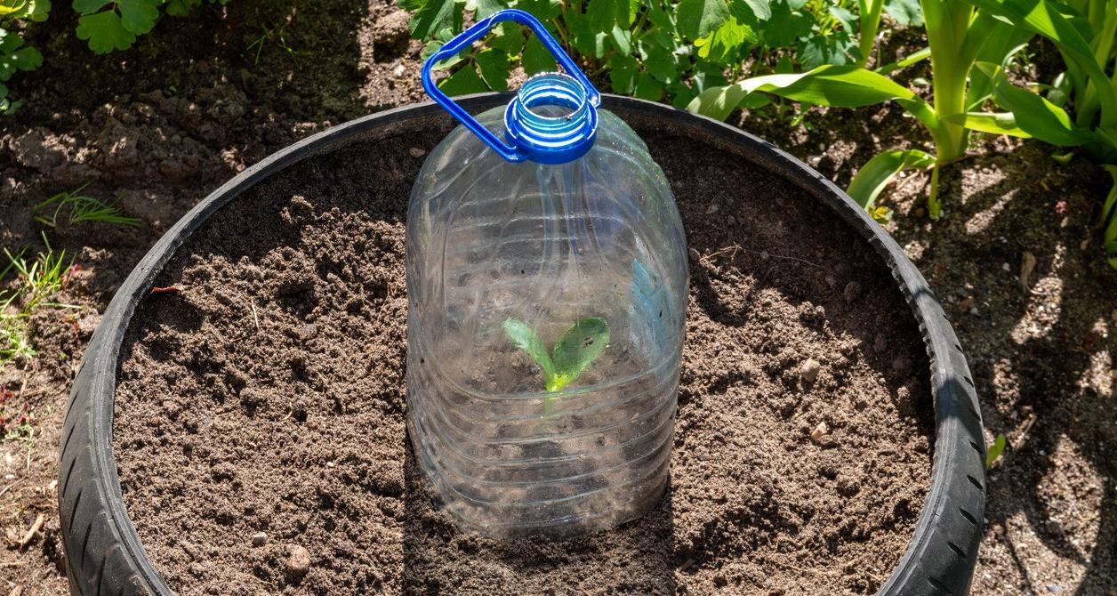 Milk Jug Gardening Ideas