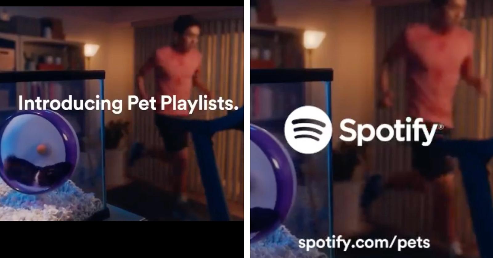 How To Get a Spotify Playlist for Your Pet