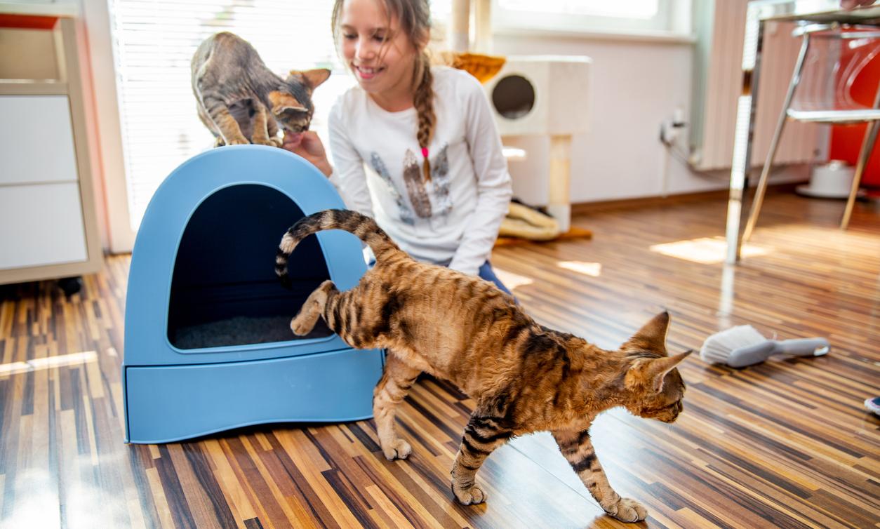 Here's How to Humanely Keep Your Dog out of the Litter Box