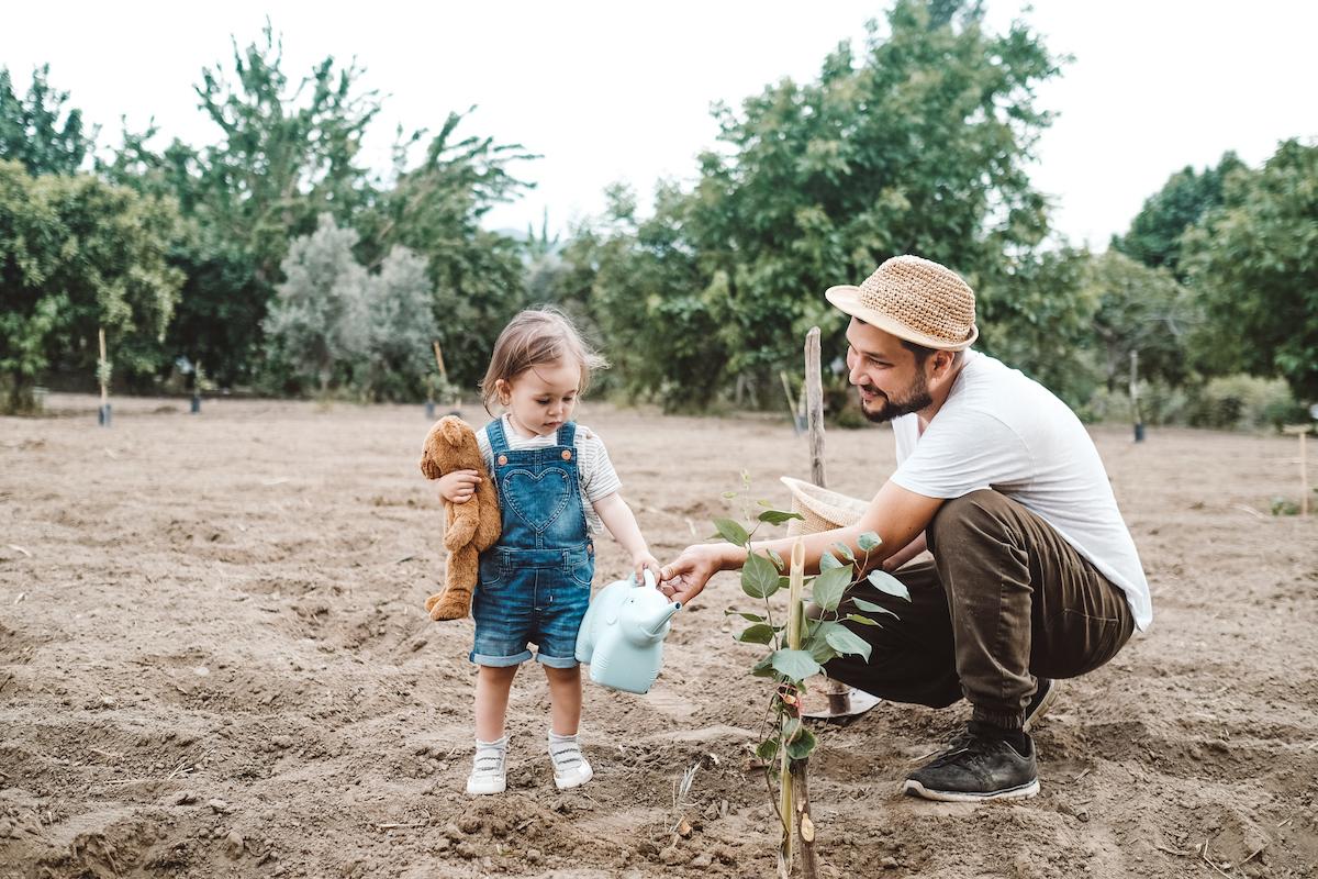 Arbor Day 2020: How to Celebrate at Home, and Where to Donate