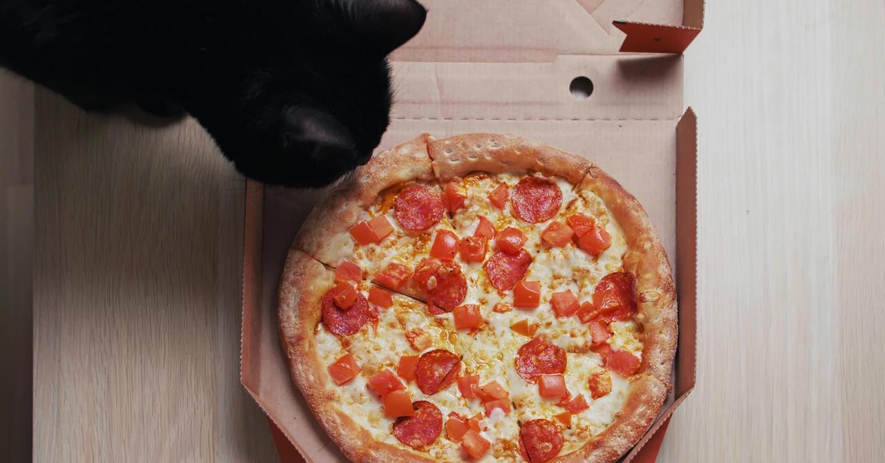 Can Cats Eat Pepperoni? Here’s What Vets Say