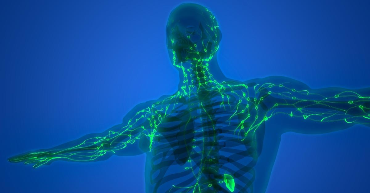 What Are the Worst Foods for the Lymphatic System?