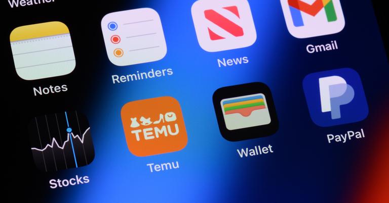 Is Temu Ethical? Everything Customers Need to Know