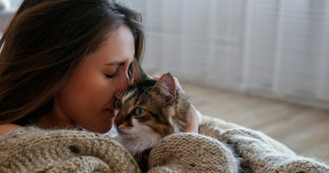 Science Says Cats Smell Good Because of Their Instincts
