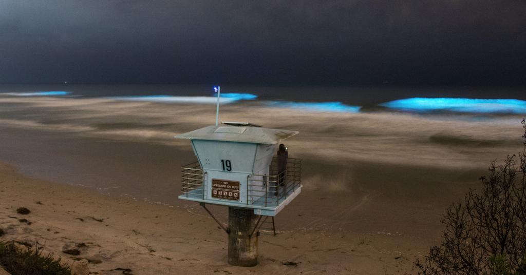 Why Is the Ocean Glowing Blue? It Looks Like a Natural Light Show