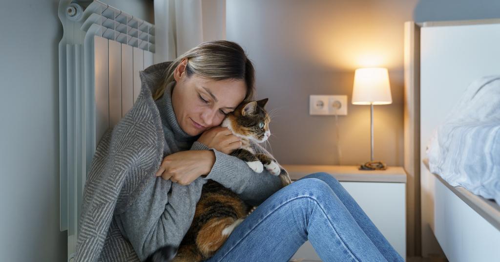 Can Cats Become Service Animals? We Investigate