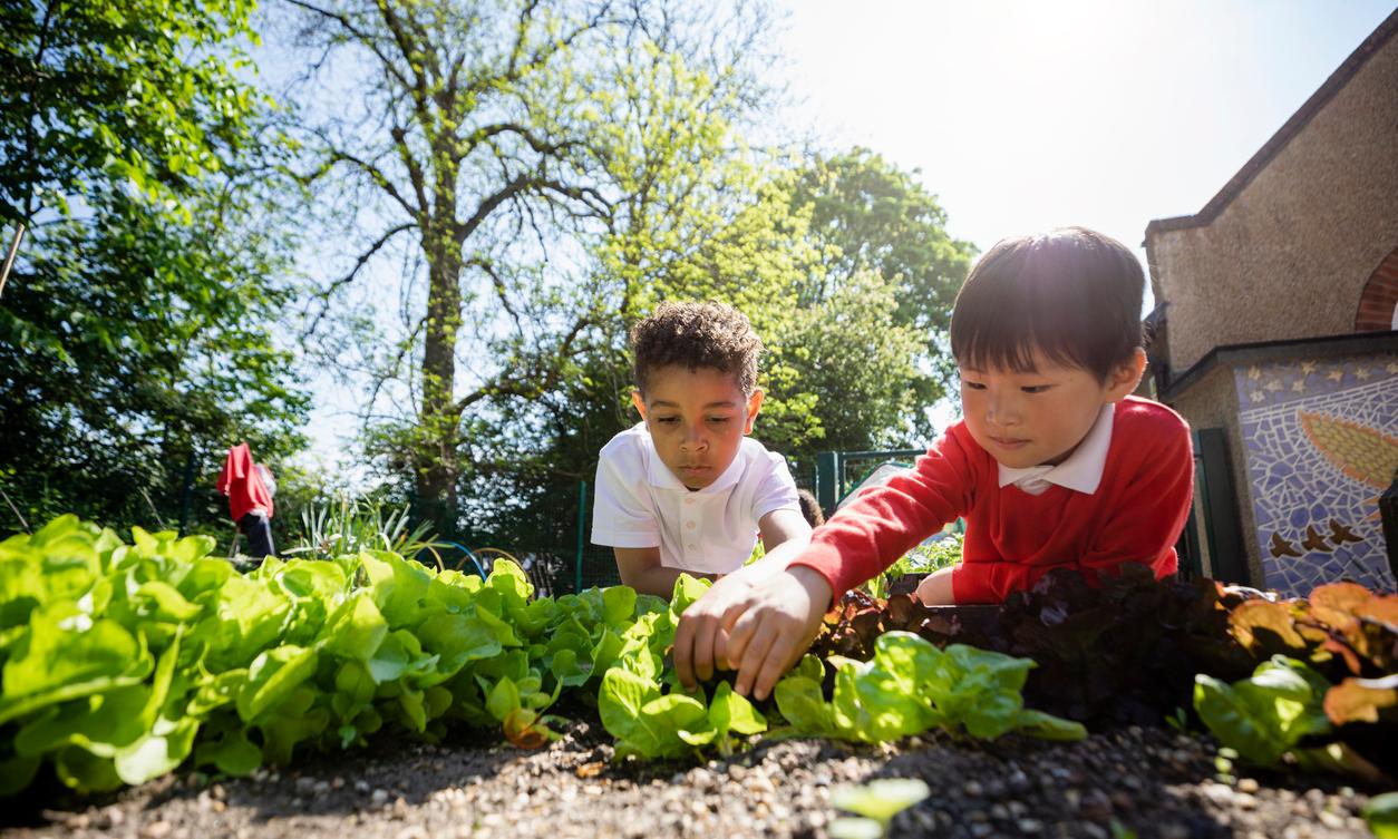 No-Dig Gardening — the Sustainable Planting Method You Need to Try