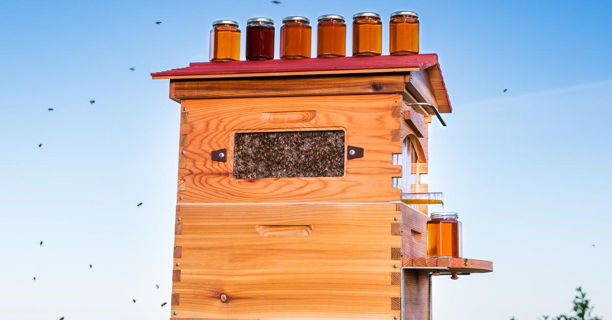 The Flow Hive Is Saving Bees and Fighting Colony Collapse