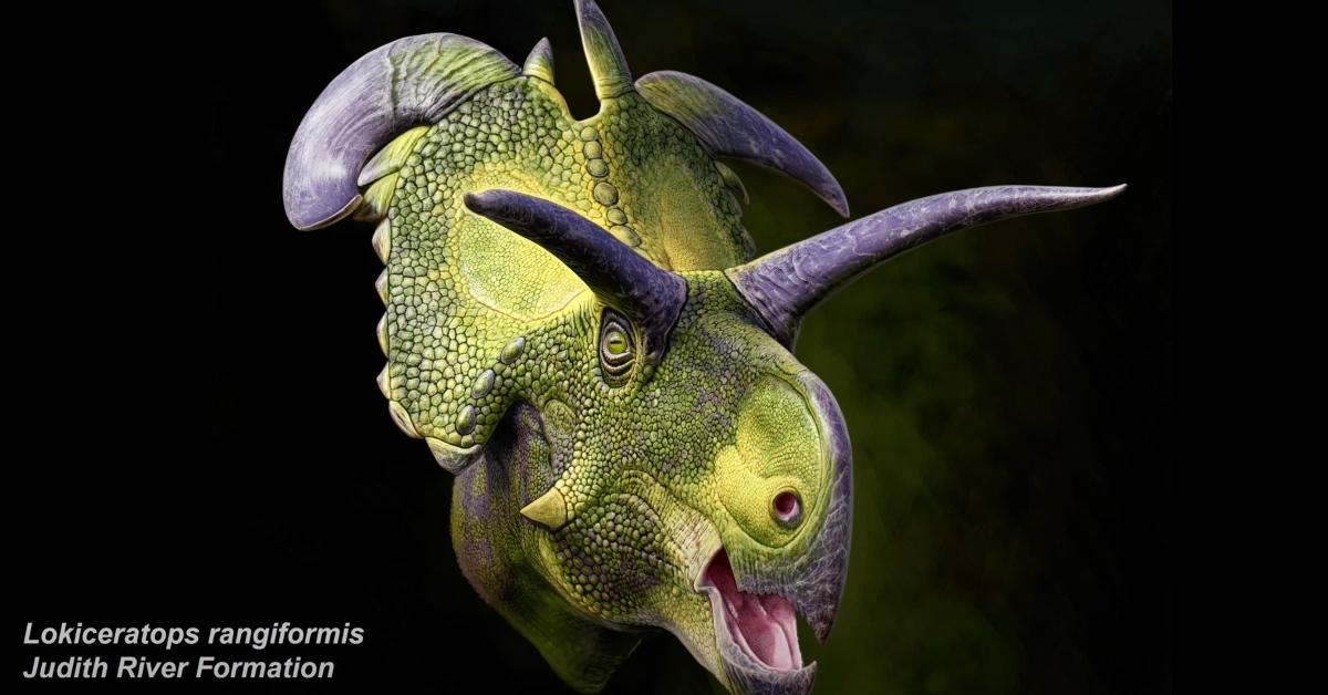 New Species 2024: The Animals and Plant Species Revealed This Year