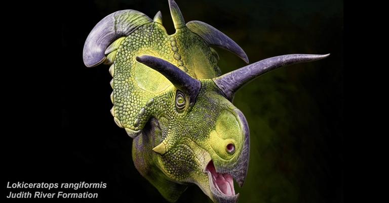 New Species 2024: The Animals and Plant Species Revealed This Year