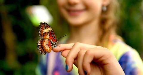 What It Means When a Butterfly Lands on You: Spiritual Interpretations
