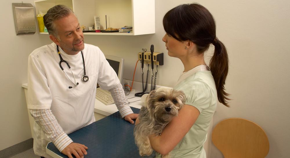 Can Dogs Get Monkeypox? Here's What Every Pet Parent Should Know