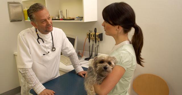 Can Dogs Get Monkeypox? Here's What Every Pet Parent Should Know