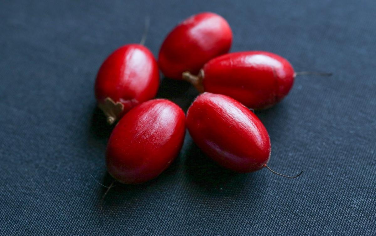 Why Is Miracle Fruit Illegal? Plus, Where You Can Buy It