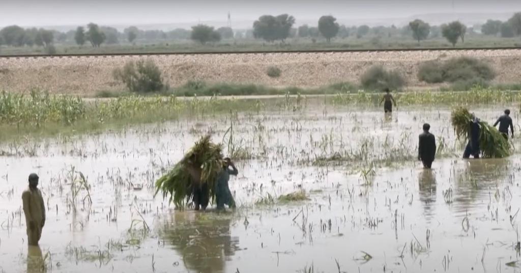 Pakistan Under Water After Historic Flooding Season