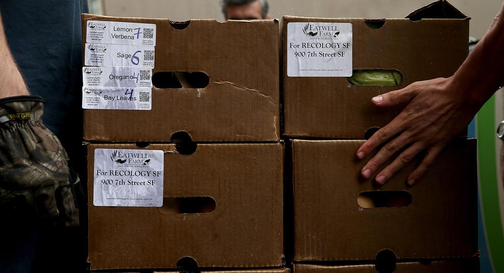 Is Cardboard Biodegradable? What to Do With Your Amazon Boxes