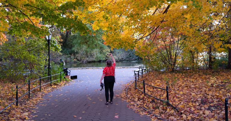 How Do Trees Make Oxygen? Photosynthesis Is Essential
