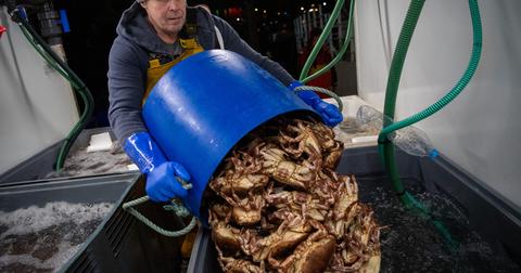 Why Is Overfishing a Problem, and What Can Be Done About It?