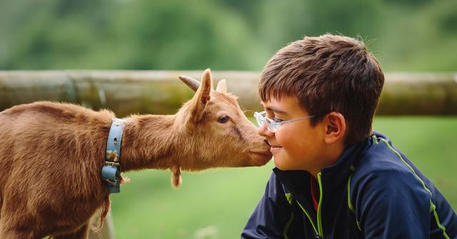 Why Is a Goat Satanic? Here's How Come Satan Often Looks like a Goat