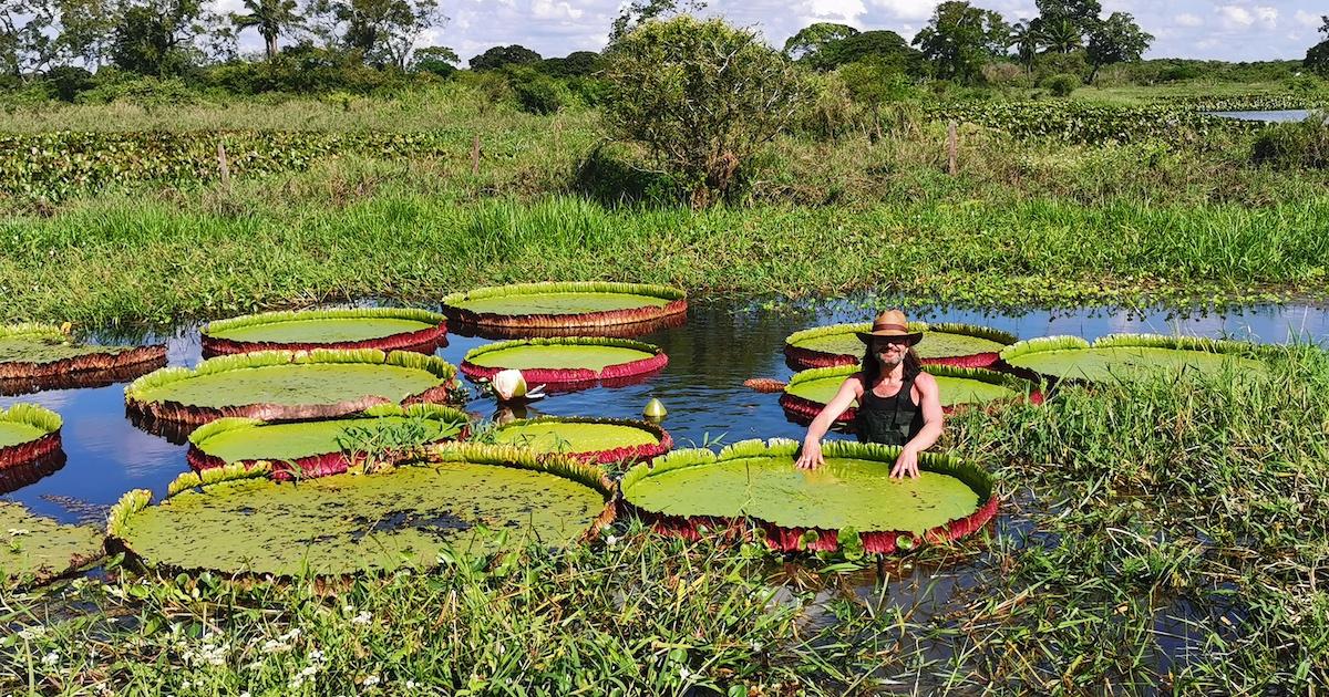 New Species 2022 — The Animals That Were Discovered This Year