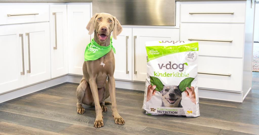 Can Dogs Be Vegan? We Interviewed V-Dog's VP to Find Out