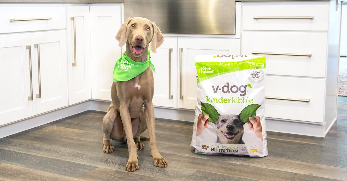 Can Dogs Be Vegan? We Interviewed V-Dog's VP to Find Out