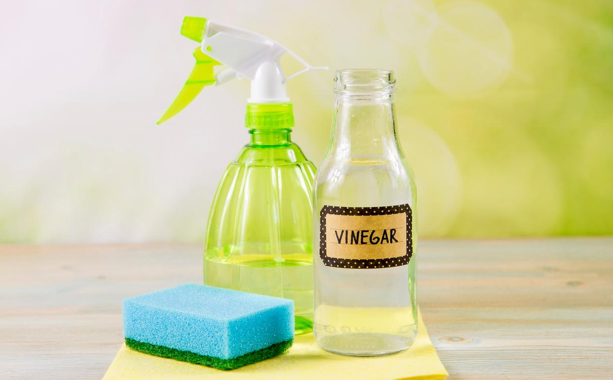 Eco-Friendly Ways to Prevent Cloudy Dishes and Water Spots