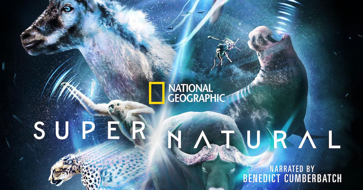 ‘Super Natural’ on Disney Plus, From Benedict Cumberbatch and James Cameron