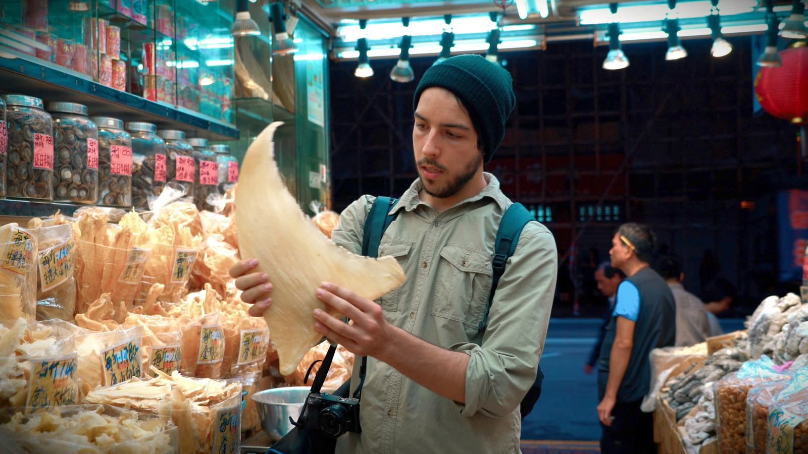 ‘Seaspiracy’ Facts From Netflix's Fishing Industry Documentary