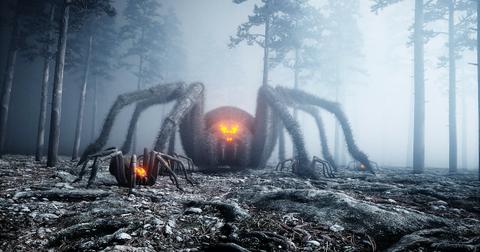 Is the Chernobyl Nuclear Disaster Causing Insect Mutations?