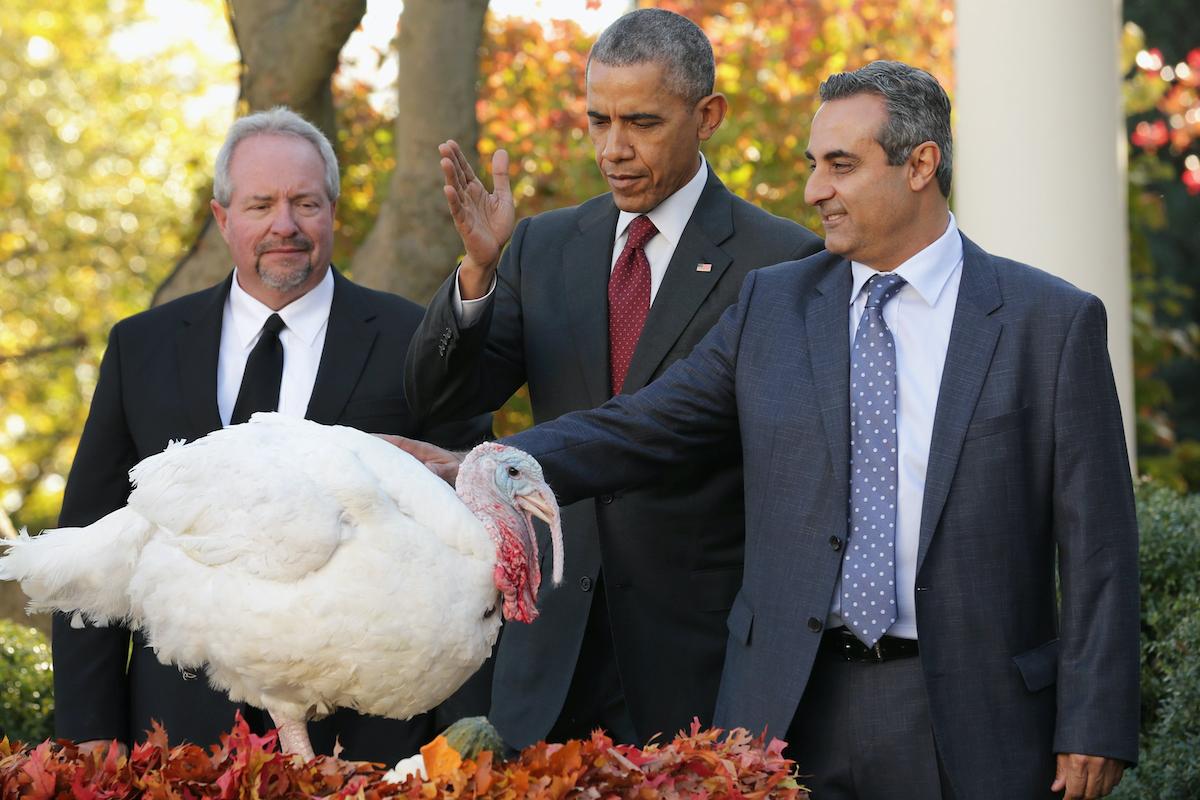 What Happens to the Pardoned Turkeys? A Look Into the White House Tradition