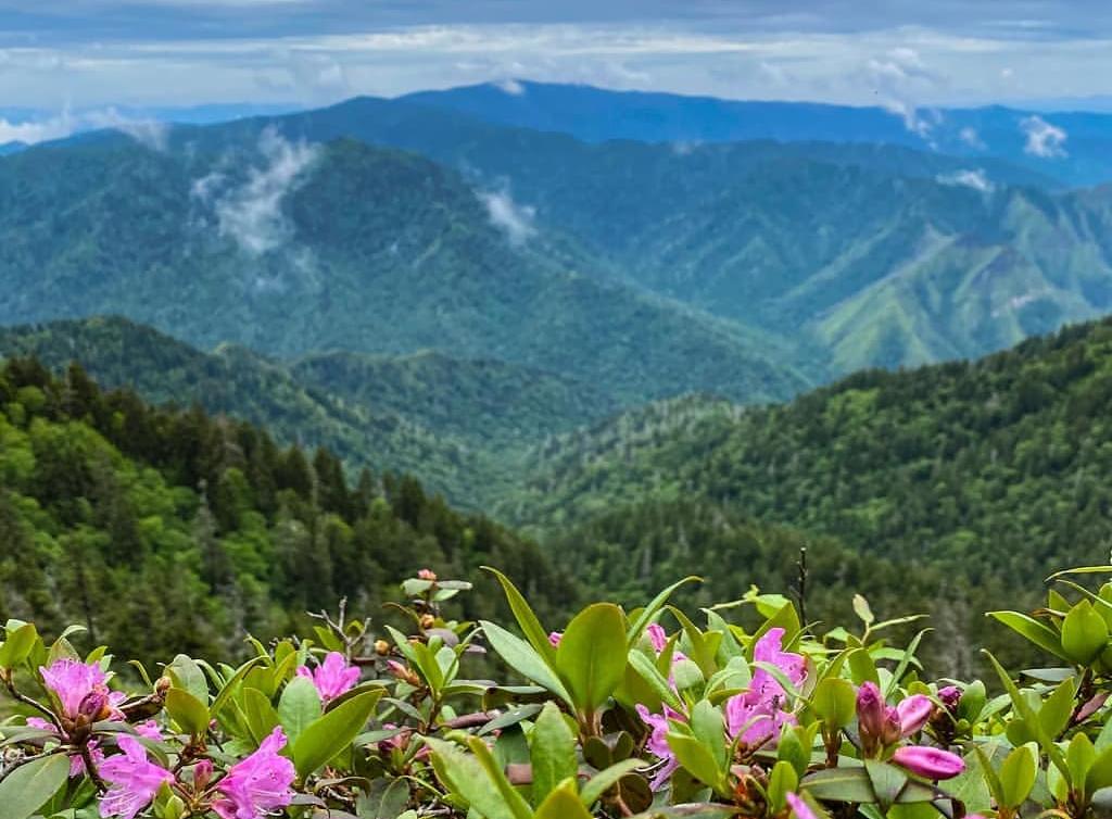 The Best Hikes in Great Smoky Mountain National Park