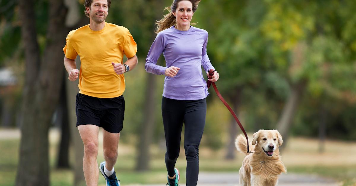 Do Dogs Like Running With Their Humans? Here's What Experts Say