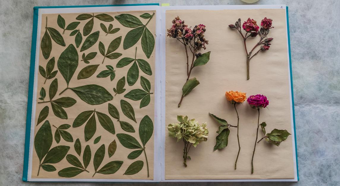 6 Sustainable Springtime Crafts to Try