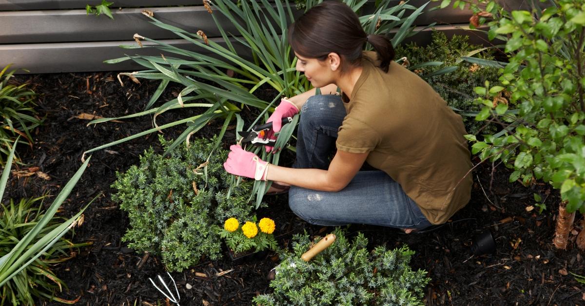 Water Conservation Landscaping Ideas — Check Out These Techniques